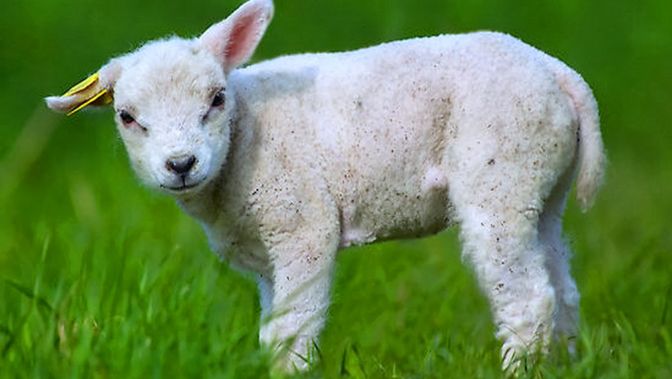 Rayos ng Liwanag1 (Katuruang Cristo) Bible Ministry: MAYROON AKONG ...